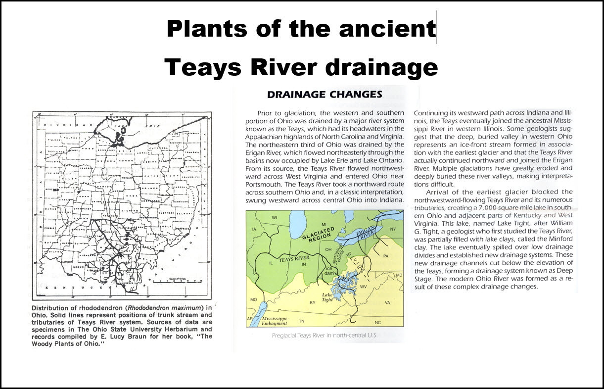 FIELD TRIPS – Bob's Botany Website